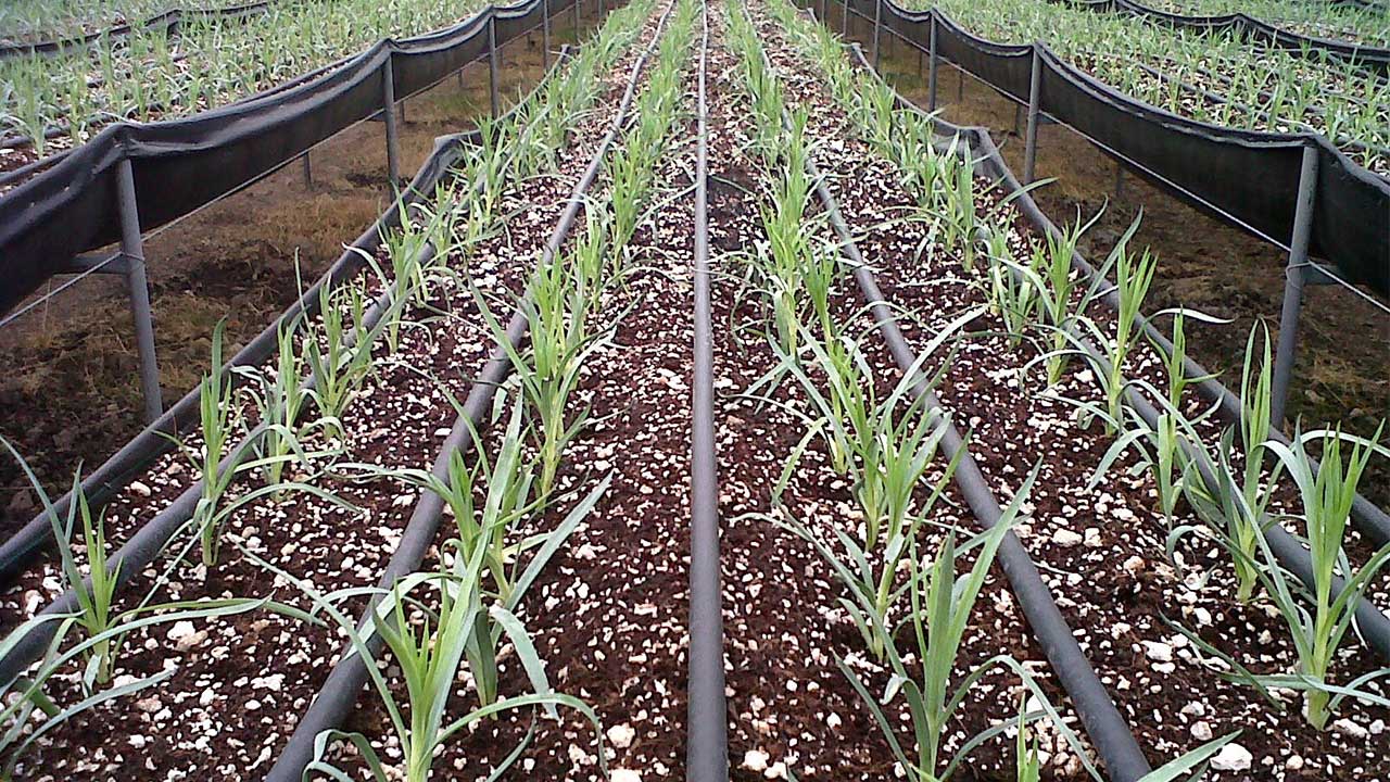 Fertigation – Agribook Digital