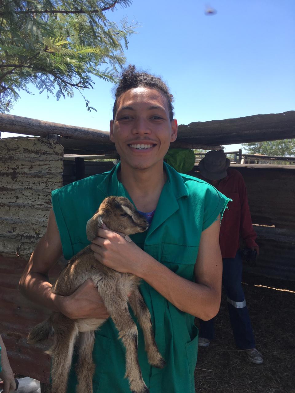 Veterinary services for the community – Agribook Digital