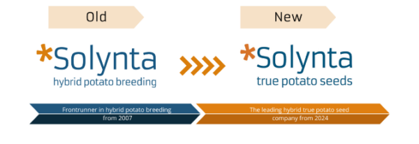 Solynta rebrands to ‘true potato seed’ company – Agribook Digital